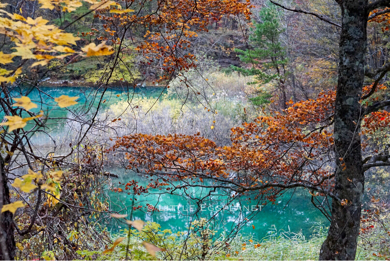 Goshikinuma Lake-five-color-lake in Fukushima Prefecture,Japan