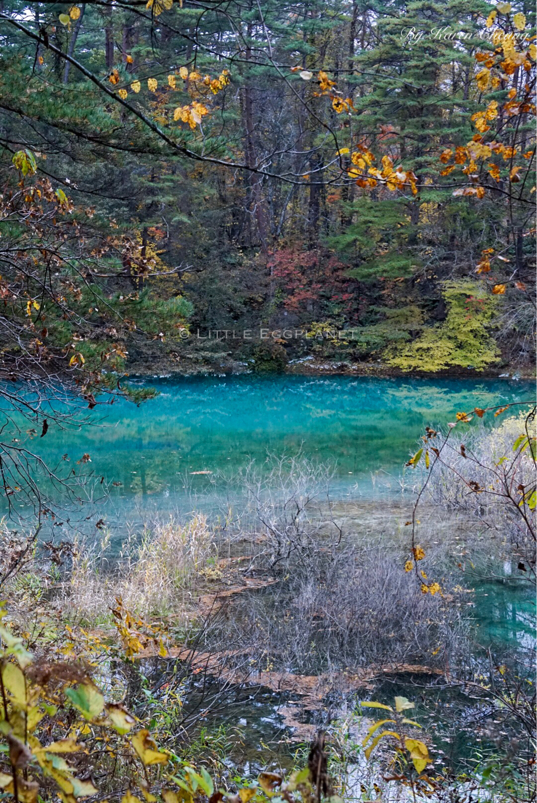 Goshikinuma Lake-five-color-lake in Fukushima Prefecture,Japan