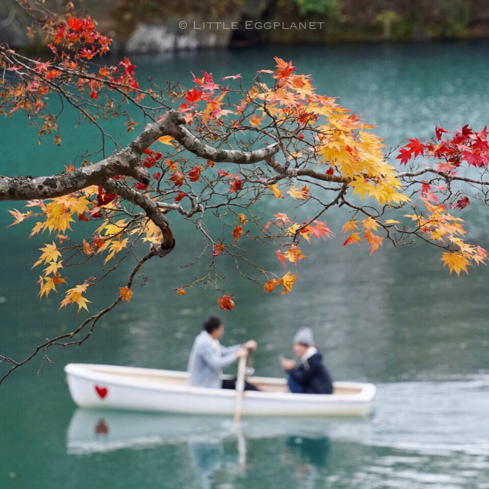 Goshikinuma Lake-five-color-lake in Fukushima Prefecture,Japan